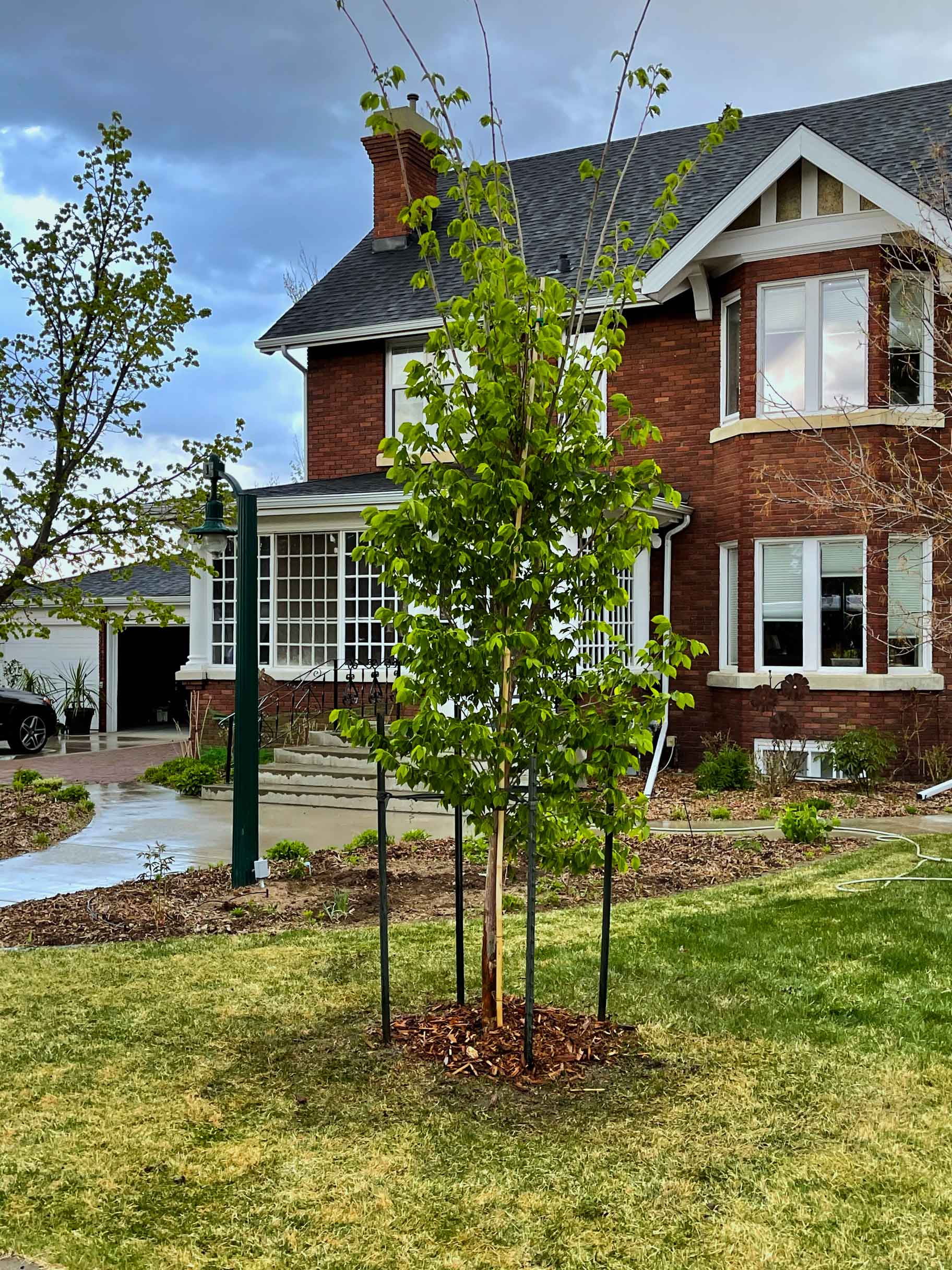 Rivendell Tree Farm – Rivendell Tree Farm