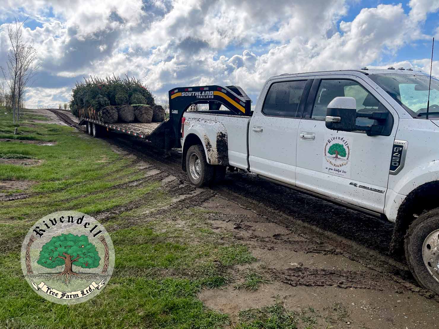 Rivendell Tree Farm - Tree Nursery