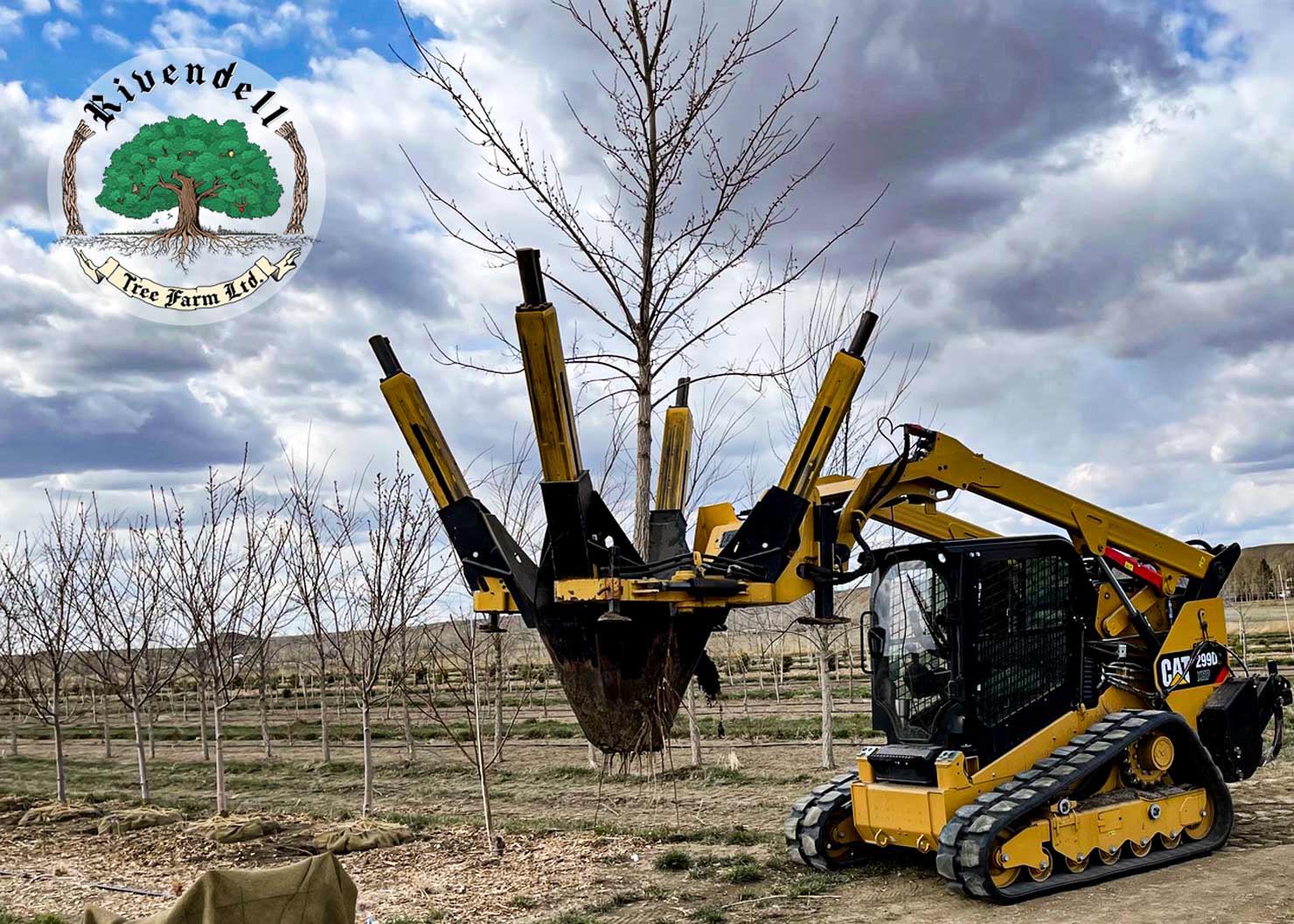 Rivendell Tree Farm – Rivendell Tree Farm