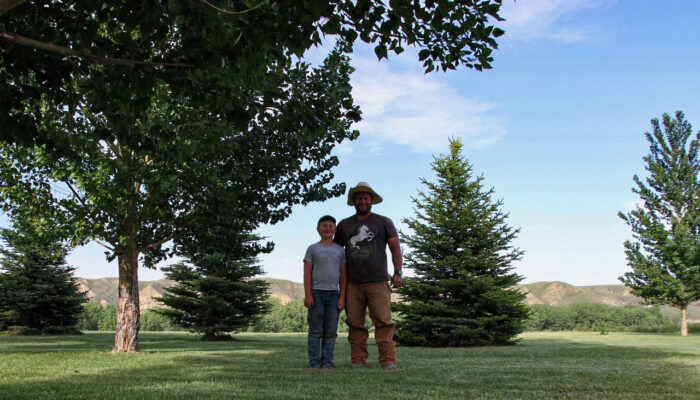 Our family farm - Rivendell Tree Farm